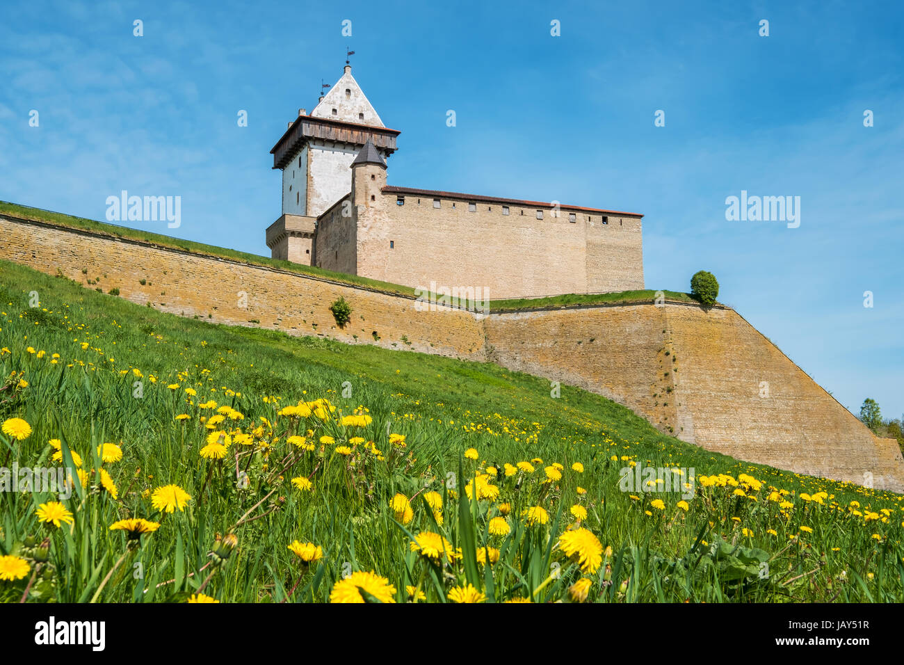 Hermann Castle in Narva fortress. Estonia, Baltic States, Europe Stock ...