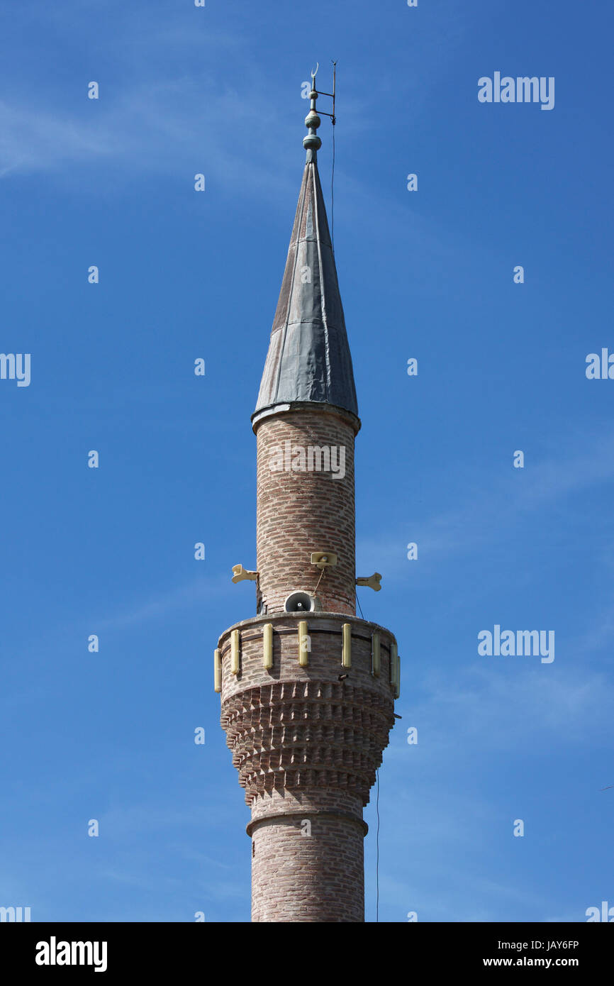 Mosche hi-res stock photography and images - Alamy