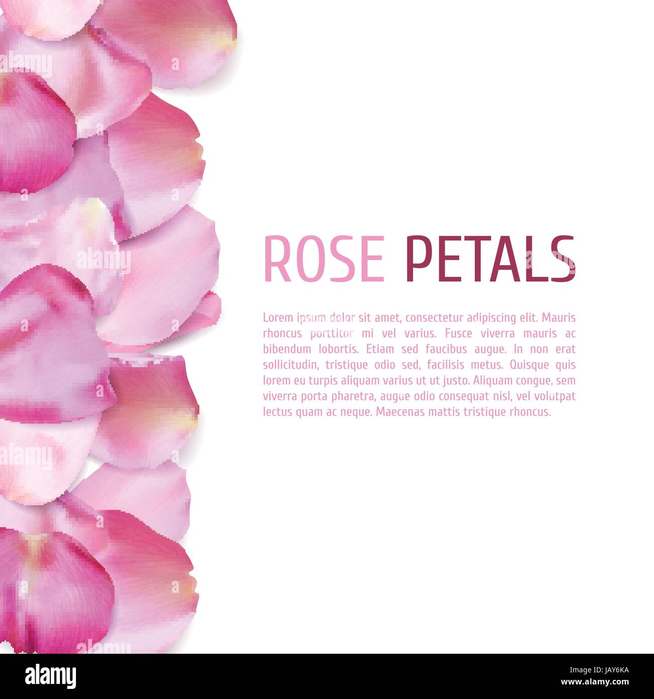 Pink Rose Petal Border