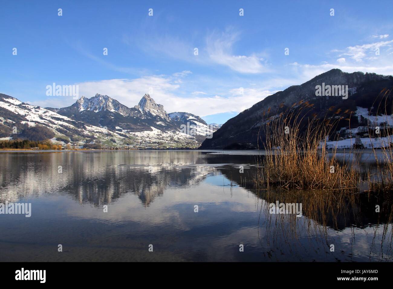 overlooking the lauerzersee Stock Photo - Alamy