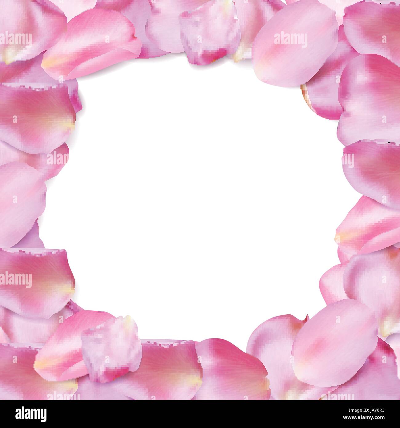 Pink Rose Petal Border