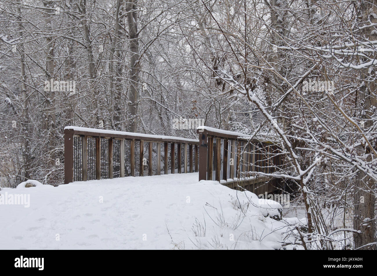 Winter Bridge after a Fresh Snowfall Stock Photo - Alamy