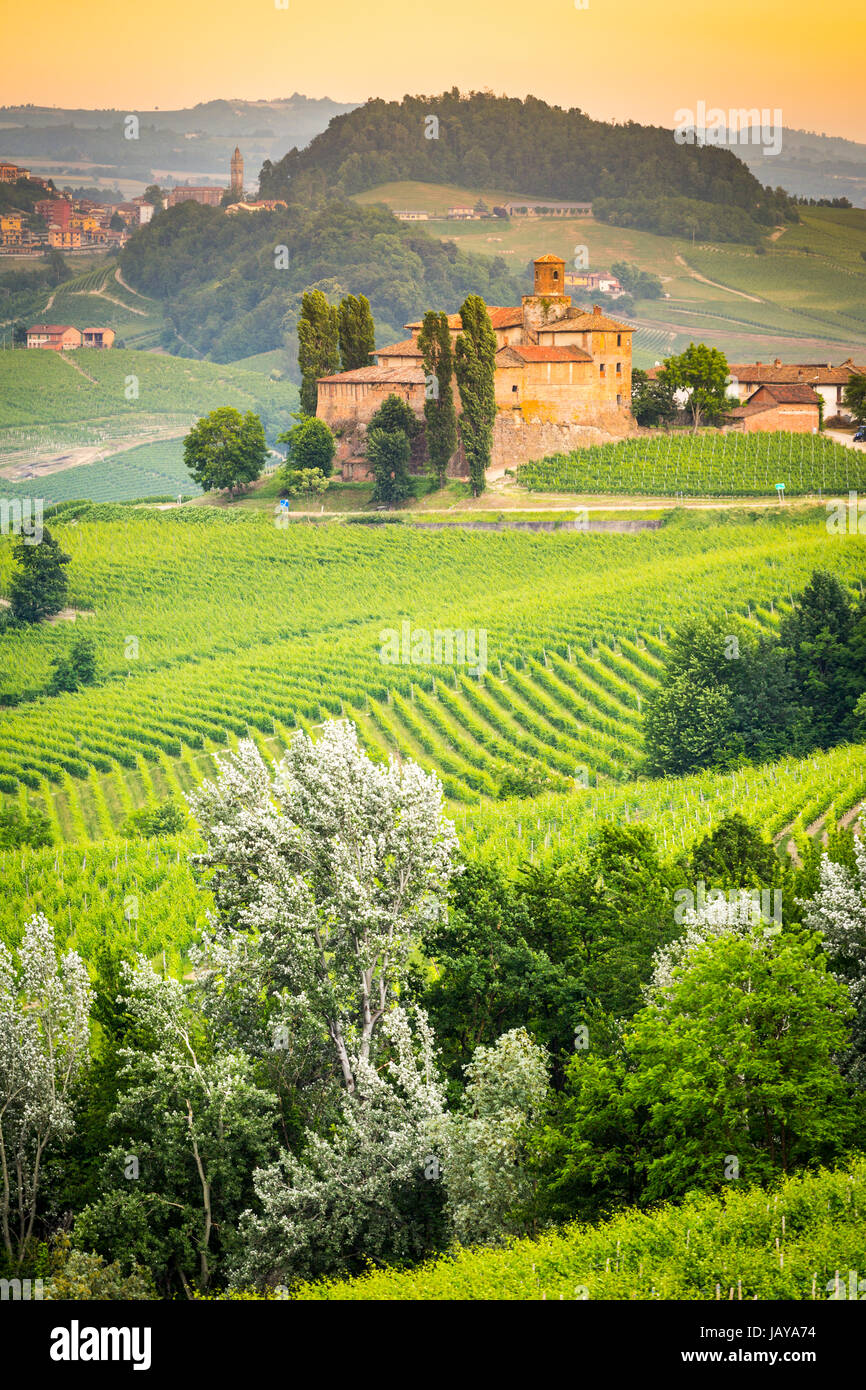 Nebbiolo region hi-res stock photography and images - Alamy