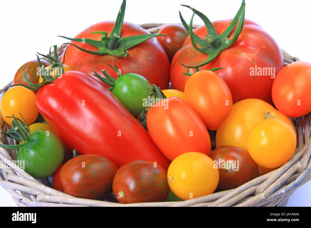 verschiedene Tomatensorten in zahlreichen Farben (Solanum lycopersicum ...