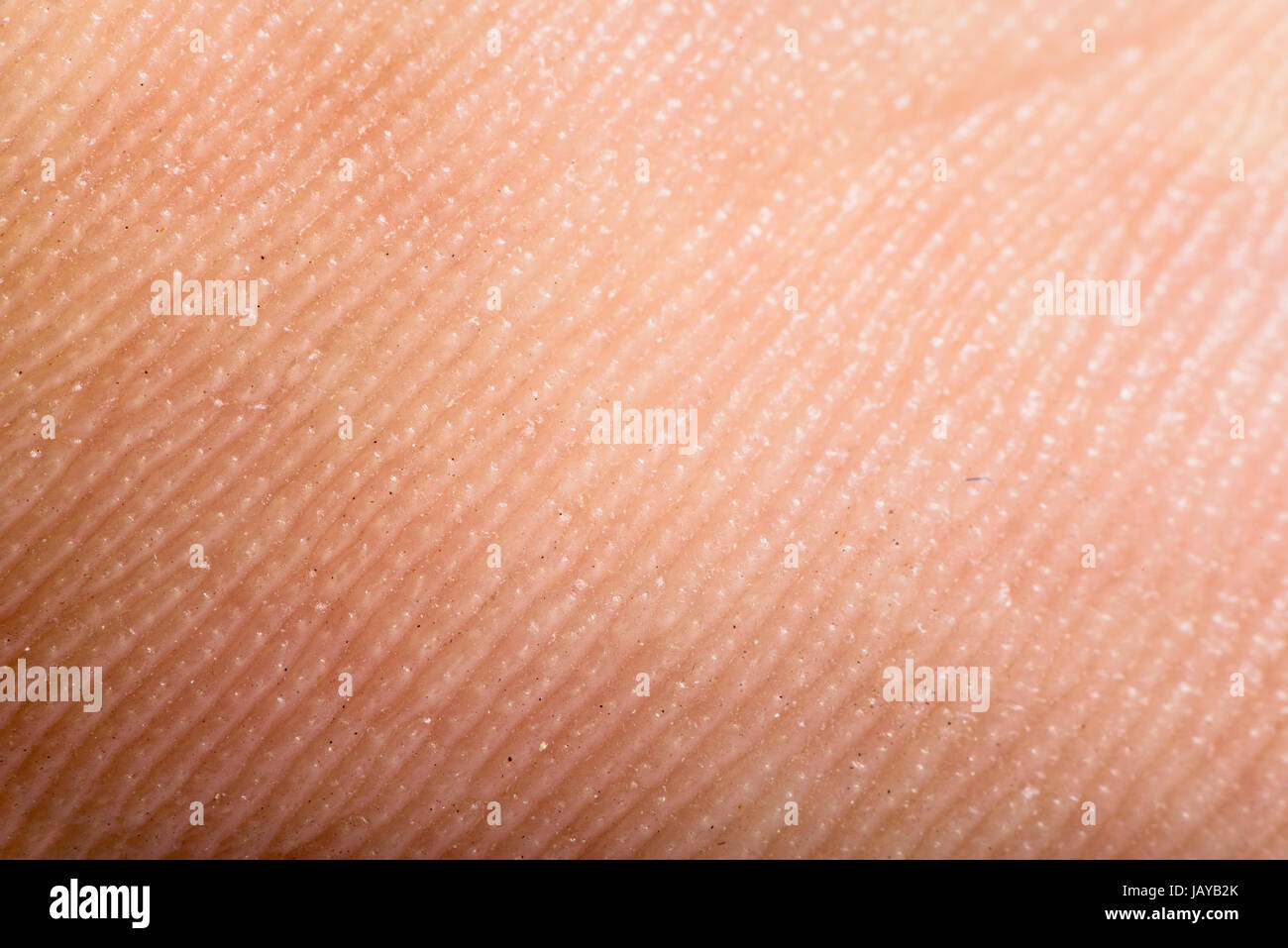Close up human skin. Macro epidermis texture Stock Photo - Alamy