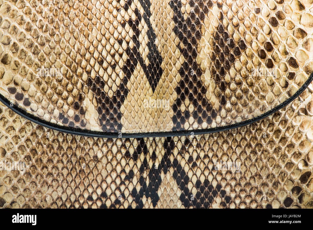 Texture of genuine snakeskin. Close up real leather texture Stock Photo ...