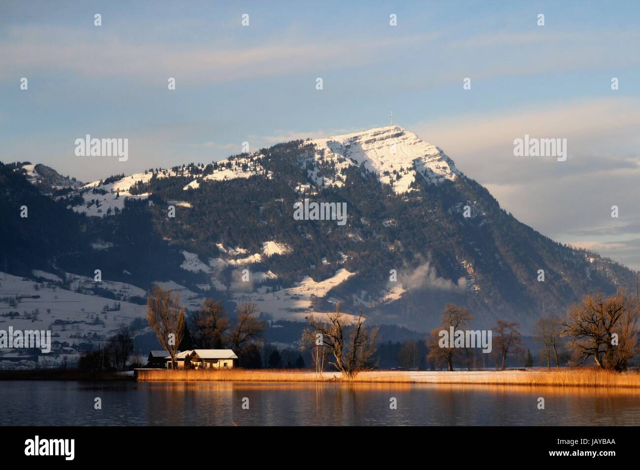 resting on lauerzersee Stock Photo - Alamy