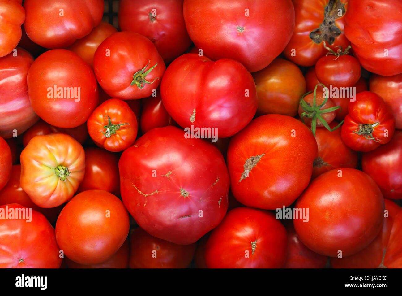 Big bunch of various organic tomato Stock Photo - Alamy