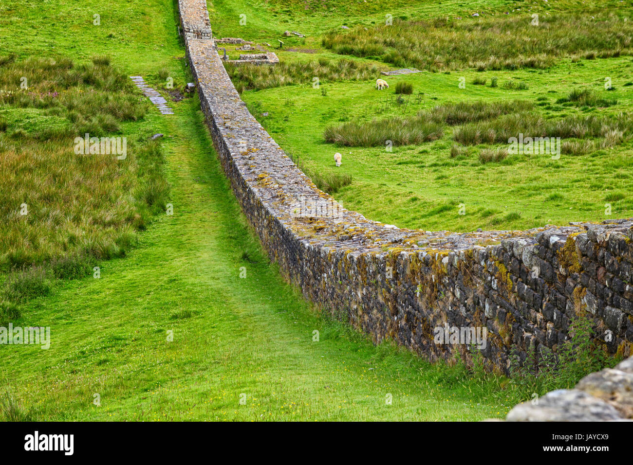 Hadrian's wall near the roman fort of Housesteads in England Stock ...