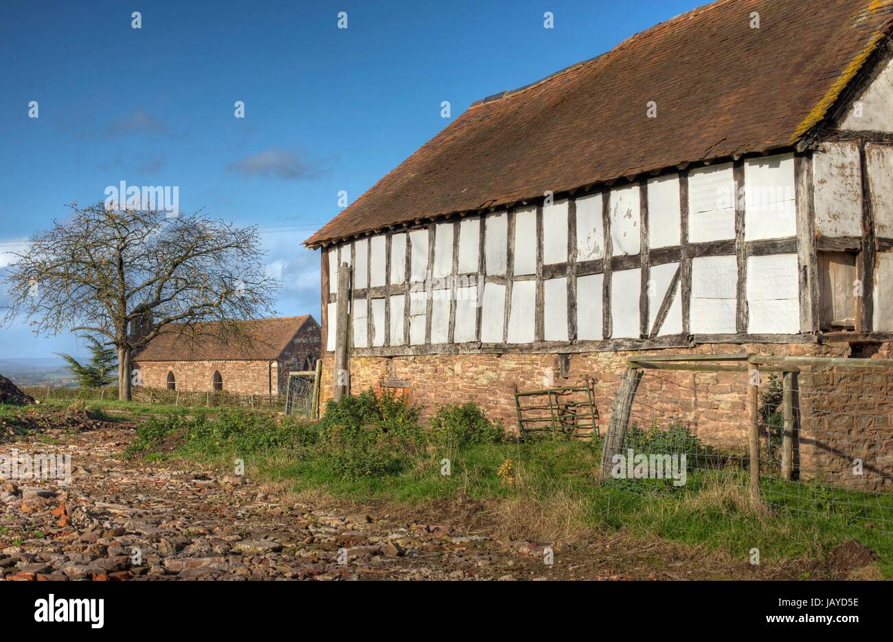Timber-framed, wattle and daub barn at Hanley Childe, Worcestershire ...