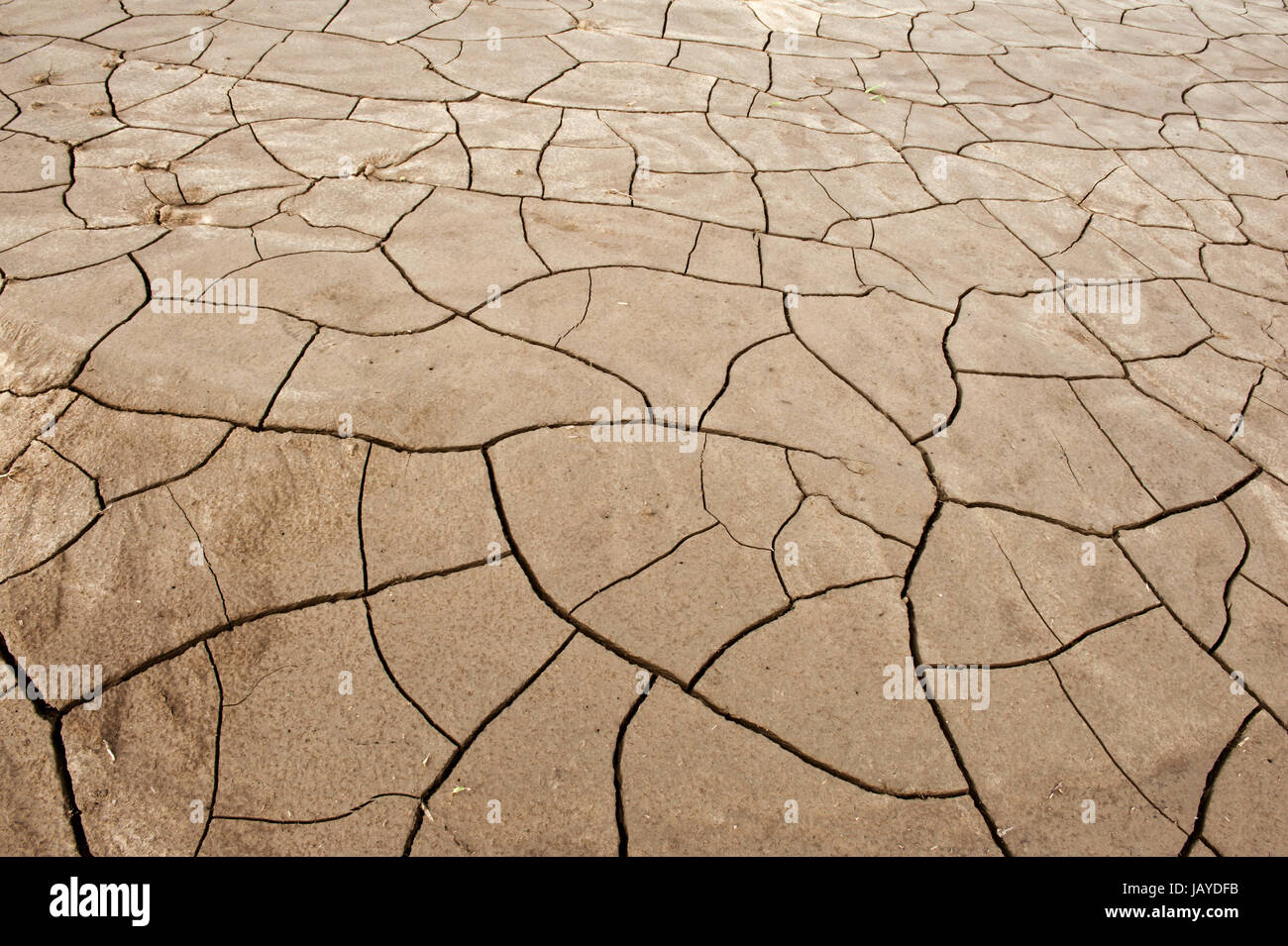 Dry ground with a net of cracks Stock Photo - Alamy