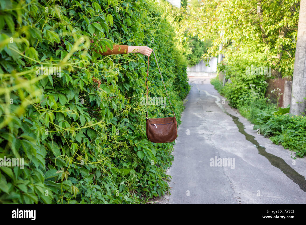 Get out into nature hi-res stock photography and images - Alamy