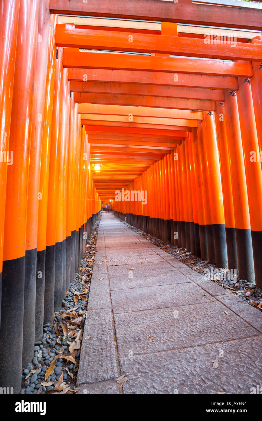 Thousands of vermilion torii gates at Fushimi Inari Taisha Shrine in ...