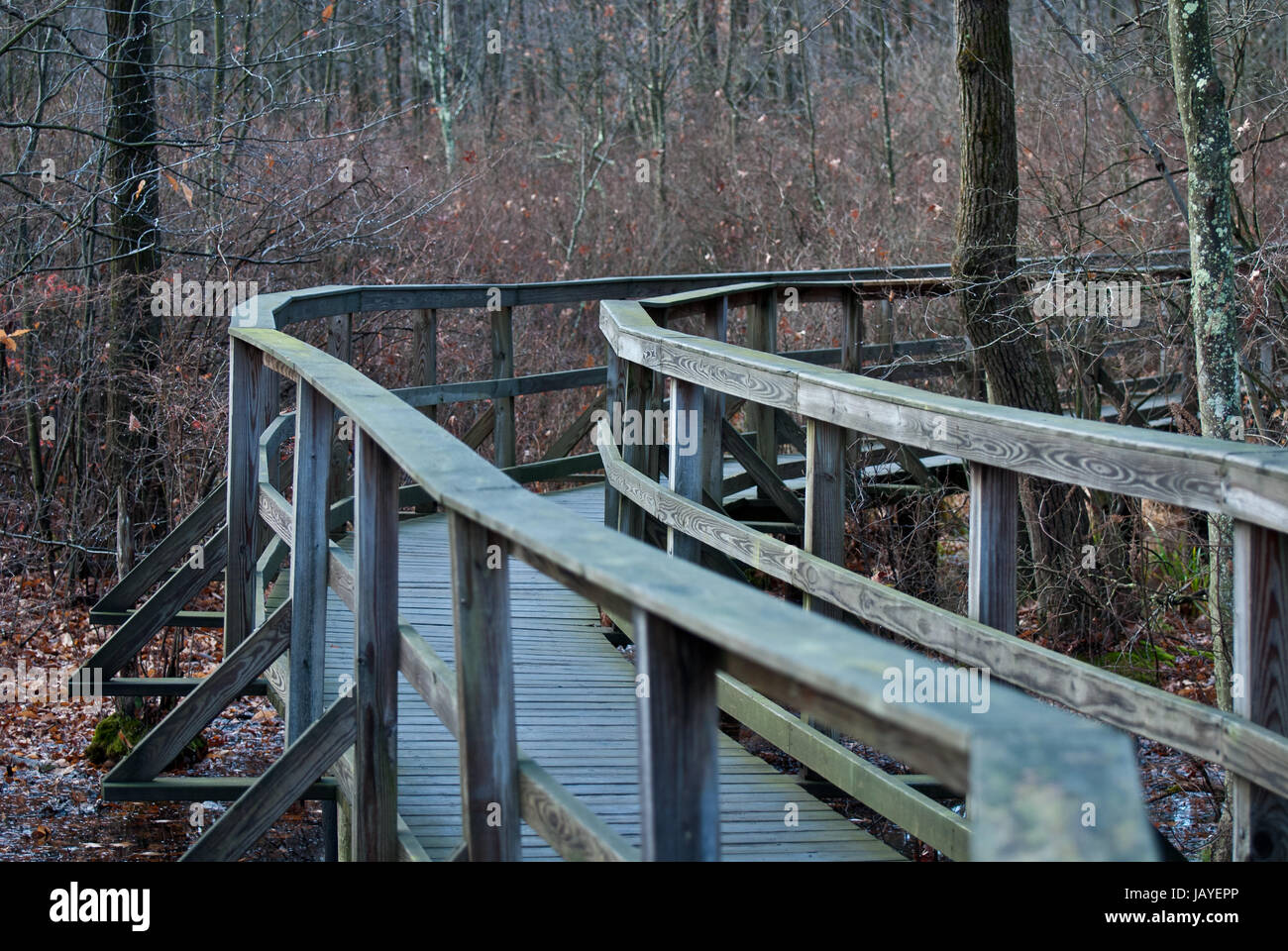 Wooden Bridge in The Forest Stock Photo - Alamy