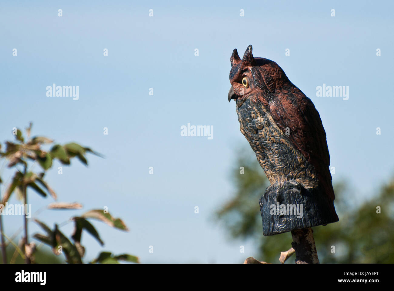 Artificial Owl Keeping Watch Stock Photo - Alamy