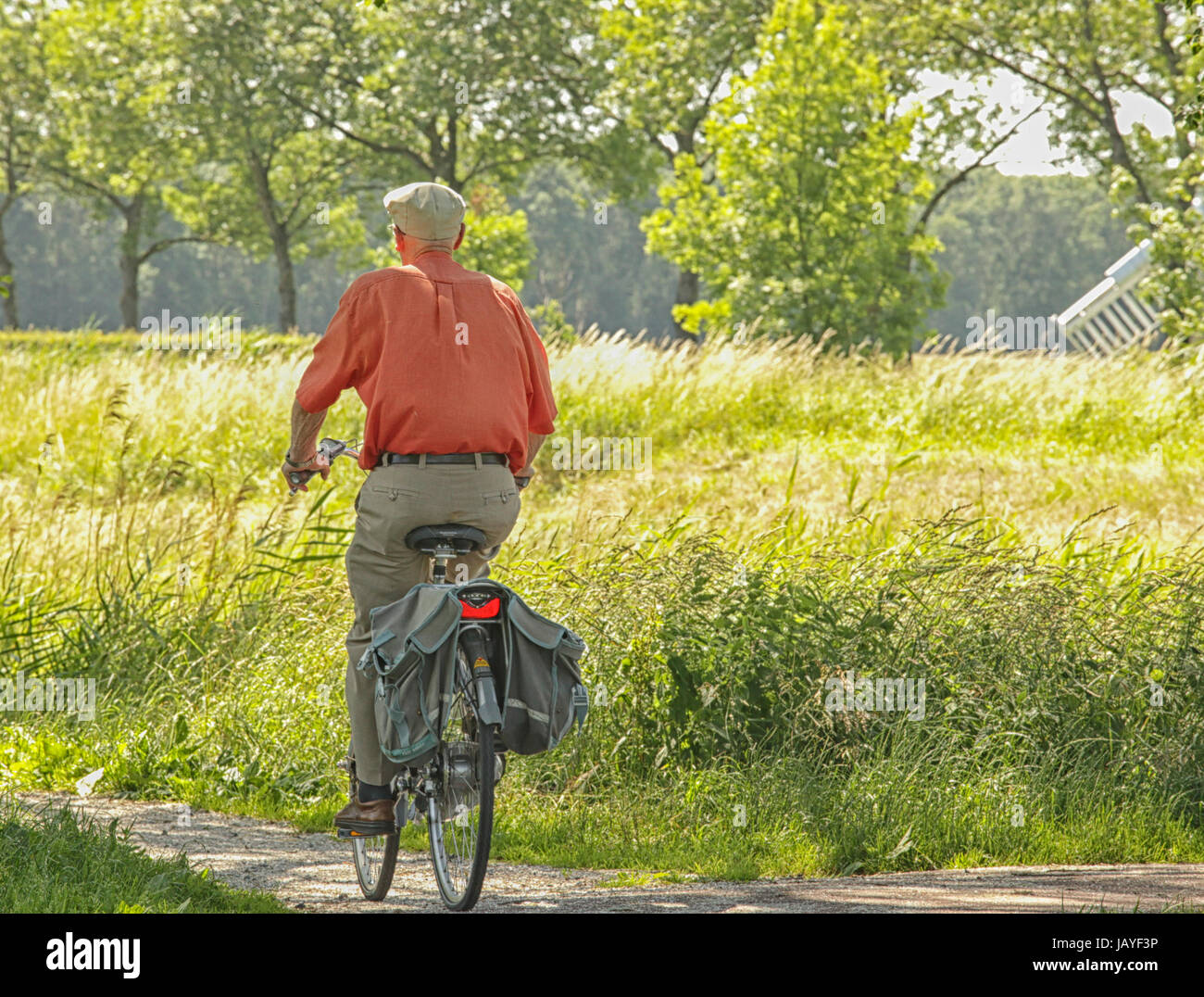 Senior man biking through the countryside in the Netherlands Stock ...