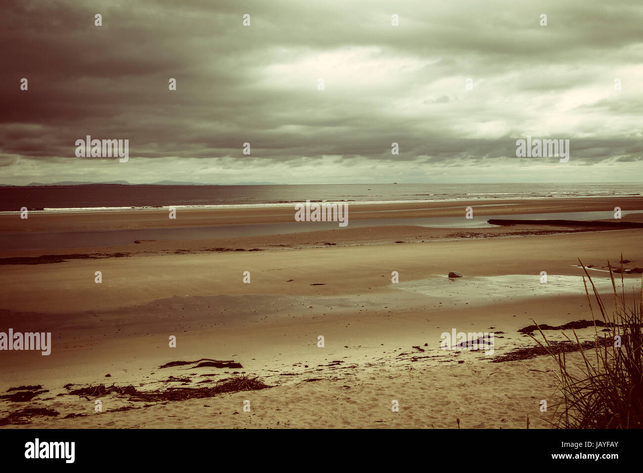 Scottish coast with beach and ocean Stock Photo - Alamy