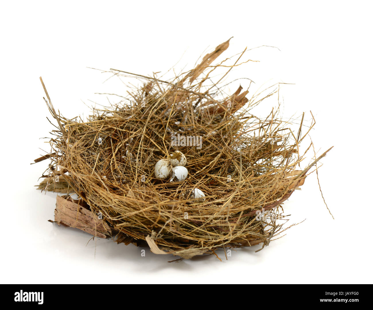 Broken nest egg Stock Photo - Alamy