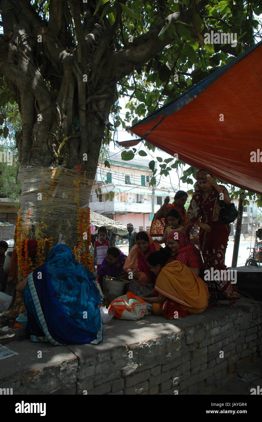 Trees are significant in many of the world's mythologies and religions ...