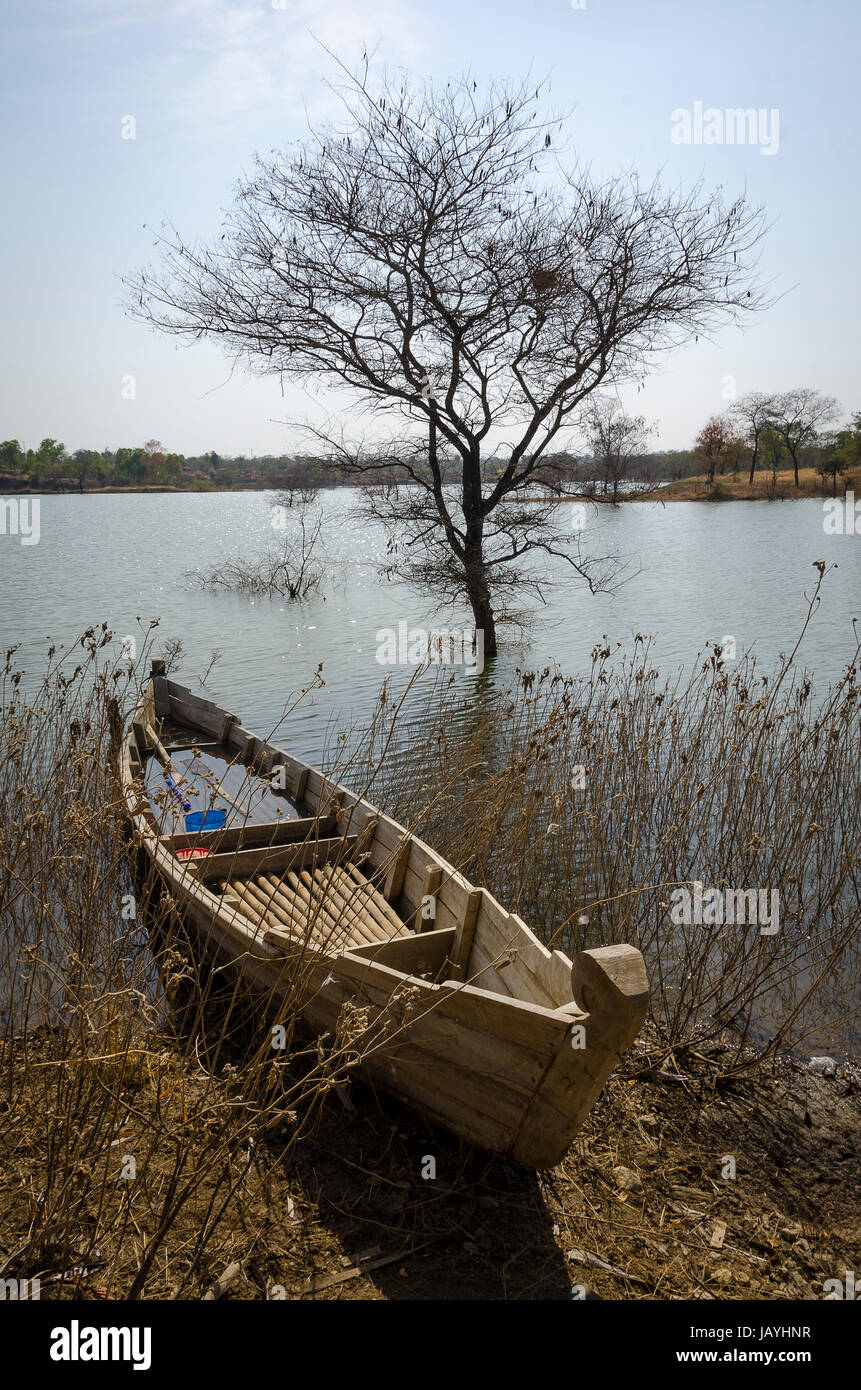 Wooden boat on lake shore, tree in lake, near Myaing, Myanmar Stock ...