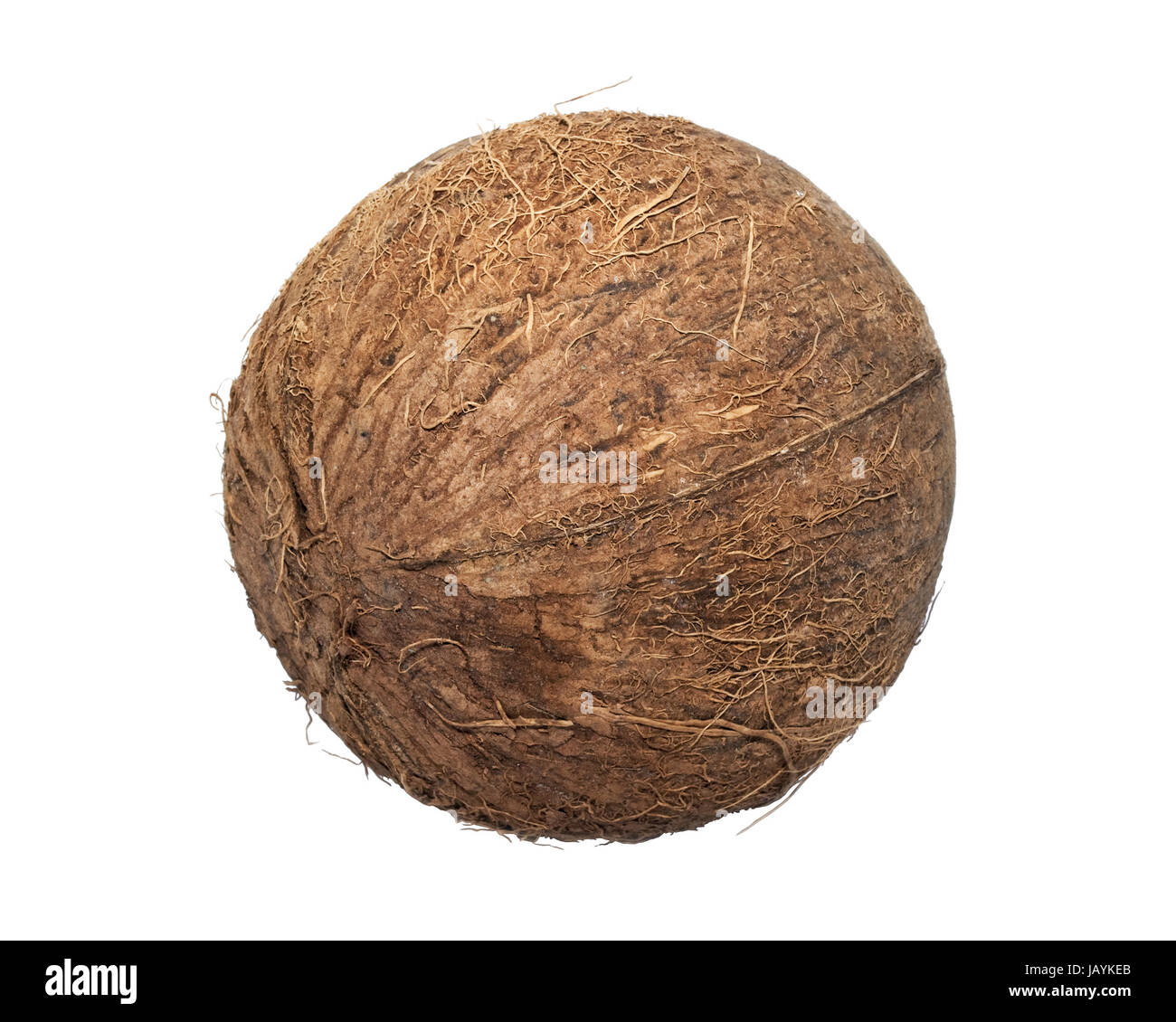 Perfect fresh coconut isolated on white background Stock Photo - Alamy