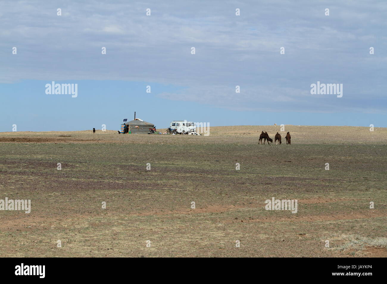 Tent colony hi-res stock photography and images - Alamy