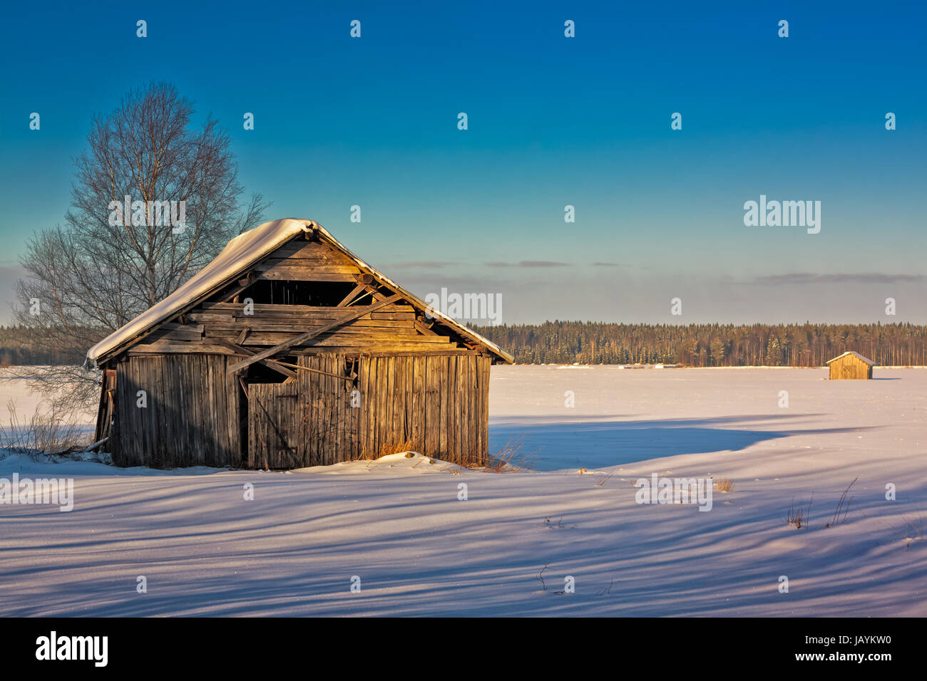 The winter sun casts long shadows on the white snow at the Northern ...