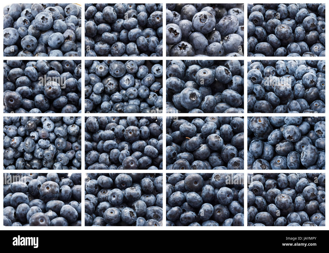Collection of backgrounds made of freshly picked blueberries Stock ...