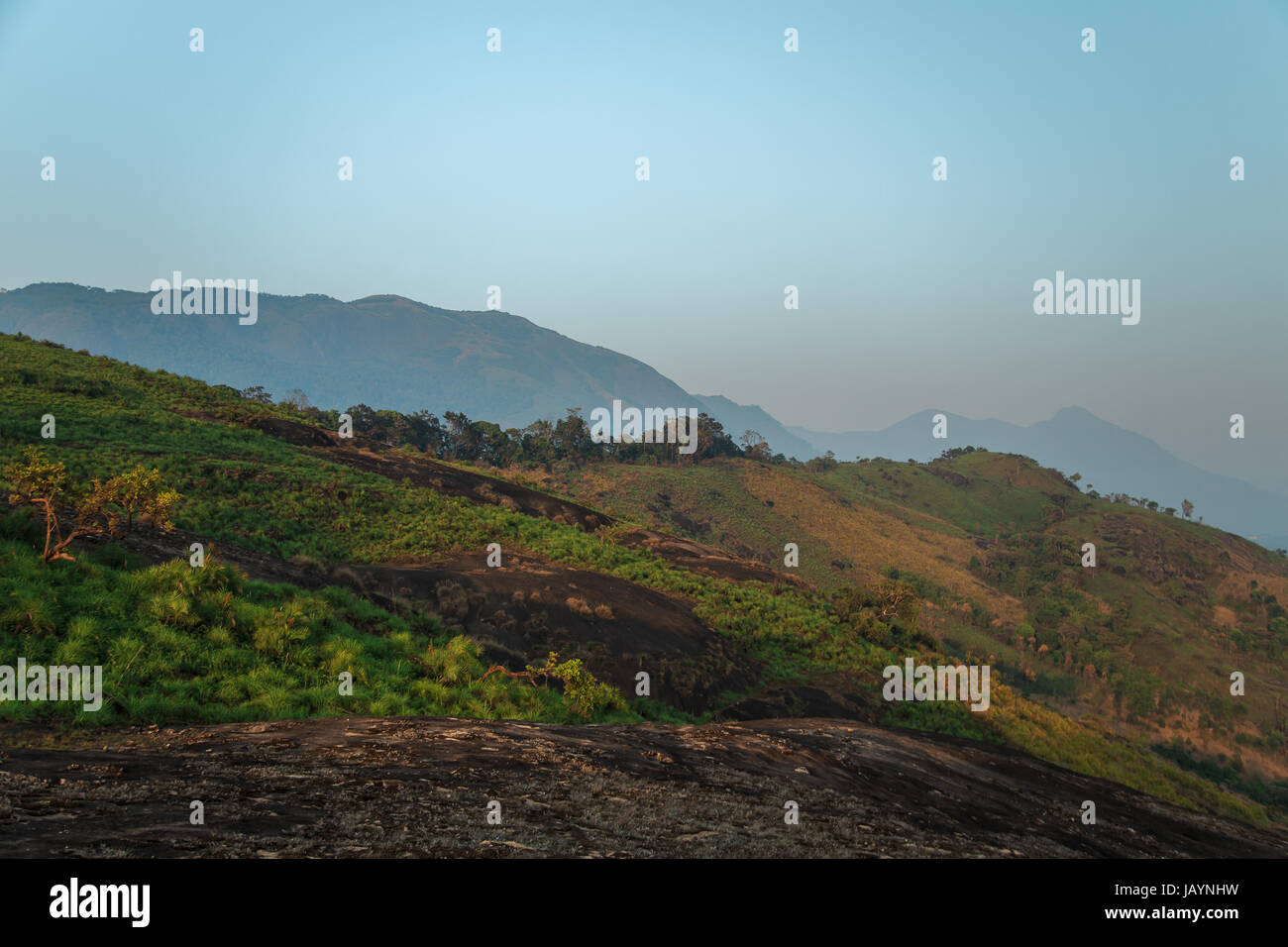 India kerala munnar dawn light hi-res stock photography and images - Alamy