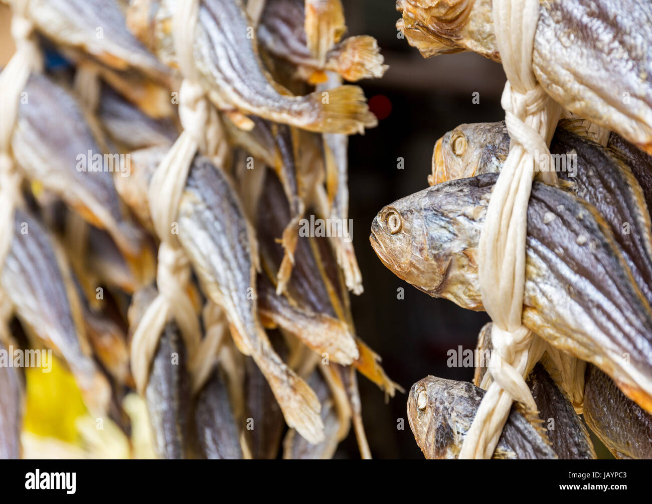 Hanging of the dried fish Stock Photo - Alamy