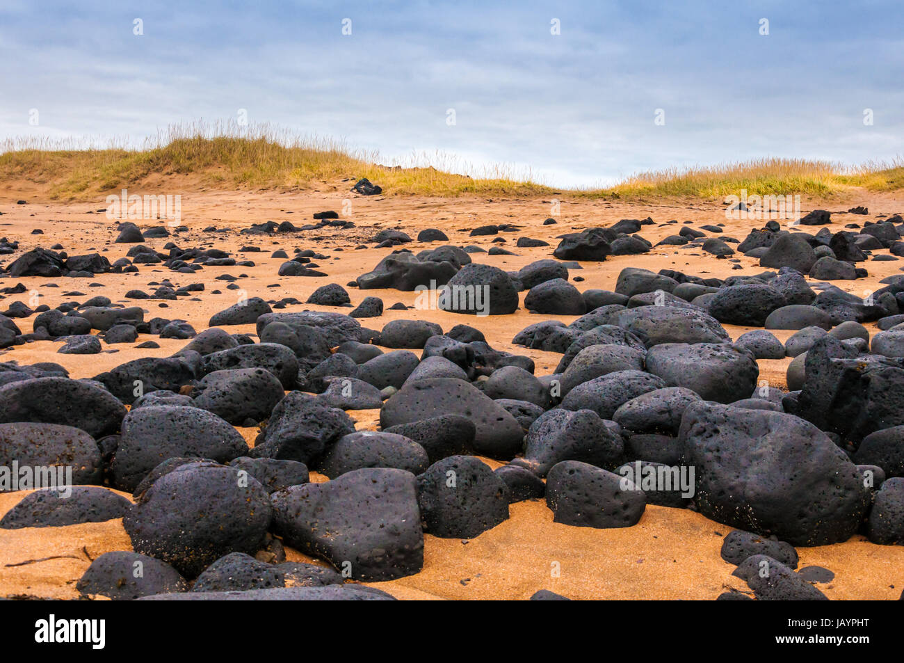 Sand beach with black voulcanic rocks in Iceland near Budir - small ...