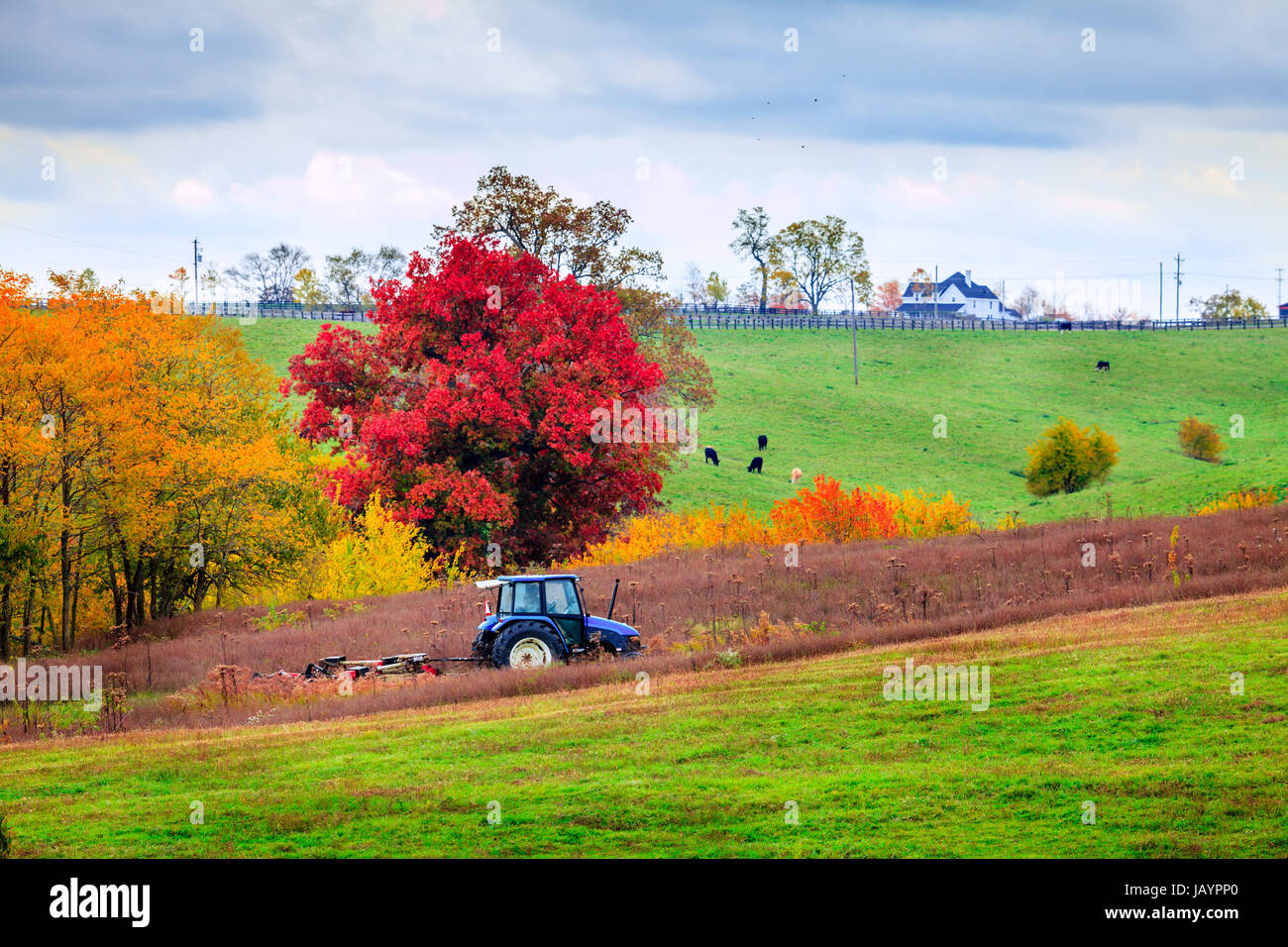 Kentucky farm tractor hi-res stock photography and images - Alamy