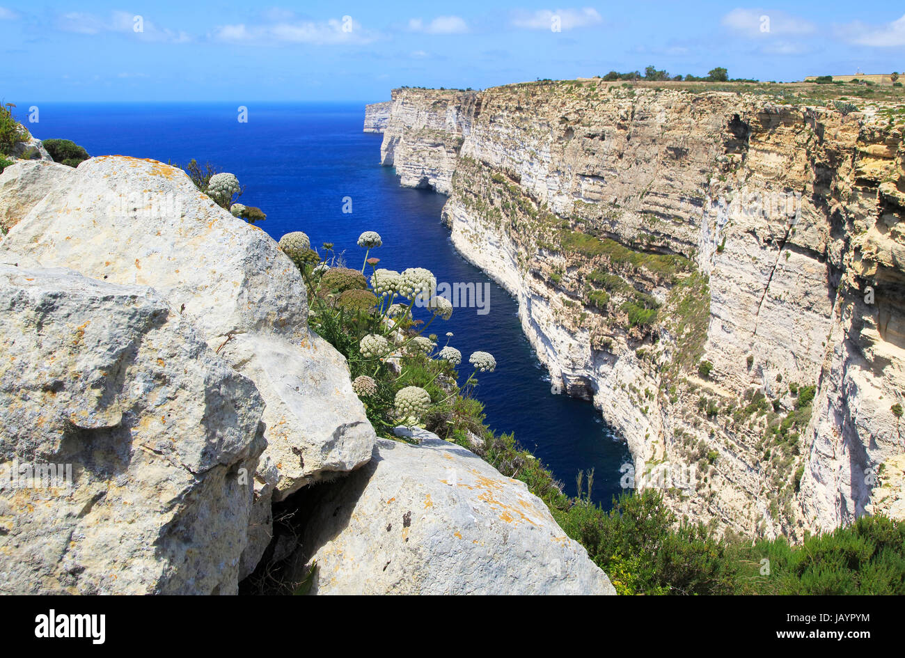 Coastal clifftop landscape view westwards at Ta' Cenc cliffs, island of ...