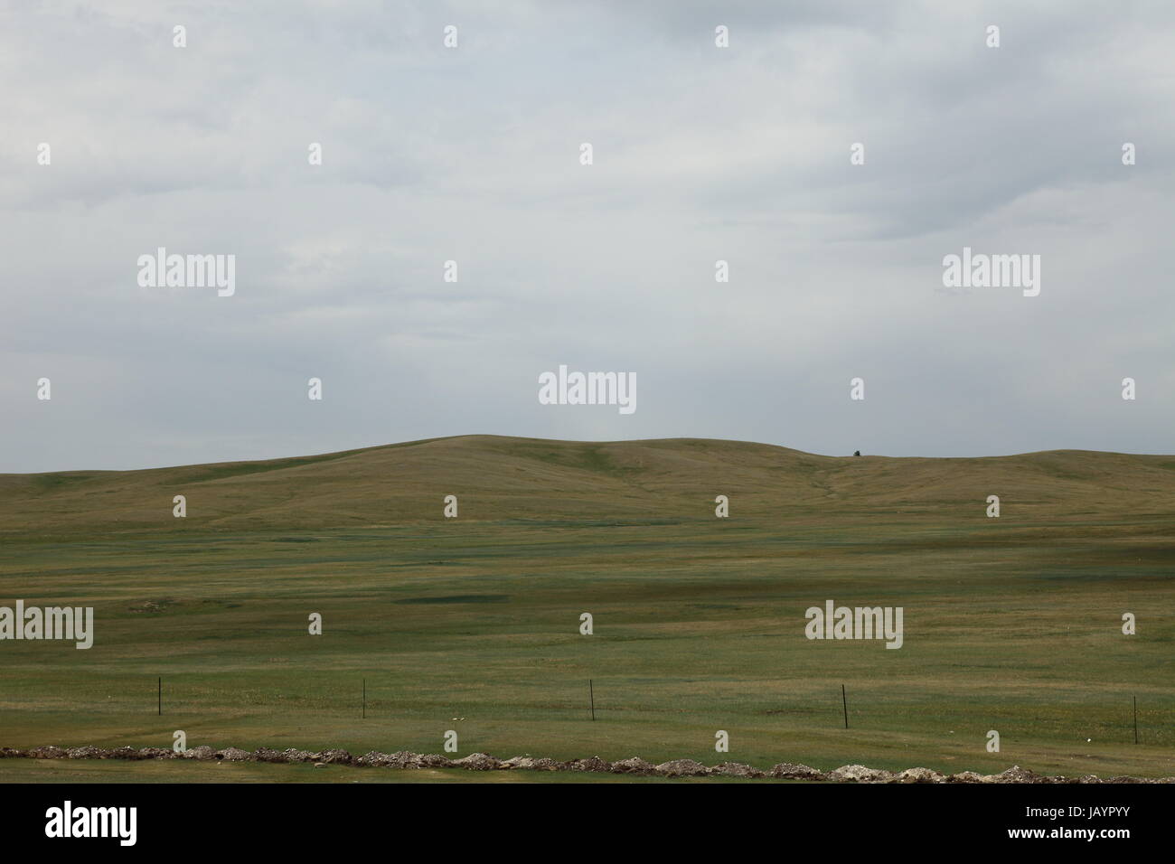 rainy season in mongolia Stock Photo - Alamy