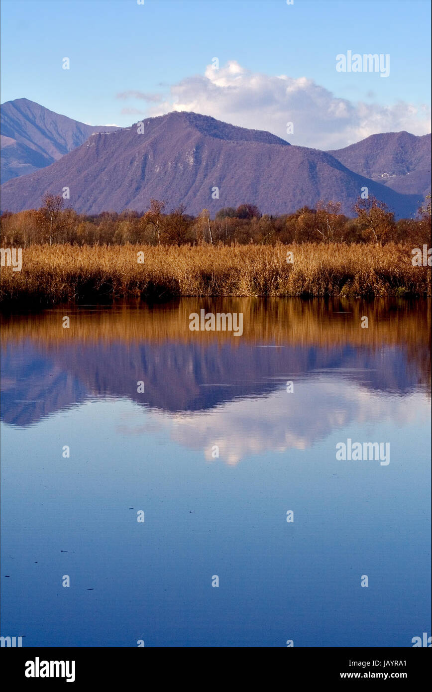 autumn lake and marsh moor marshy in the north of italy Stock Photo - Alamy