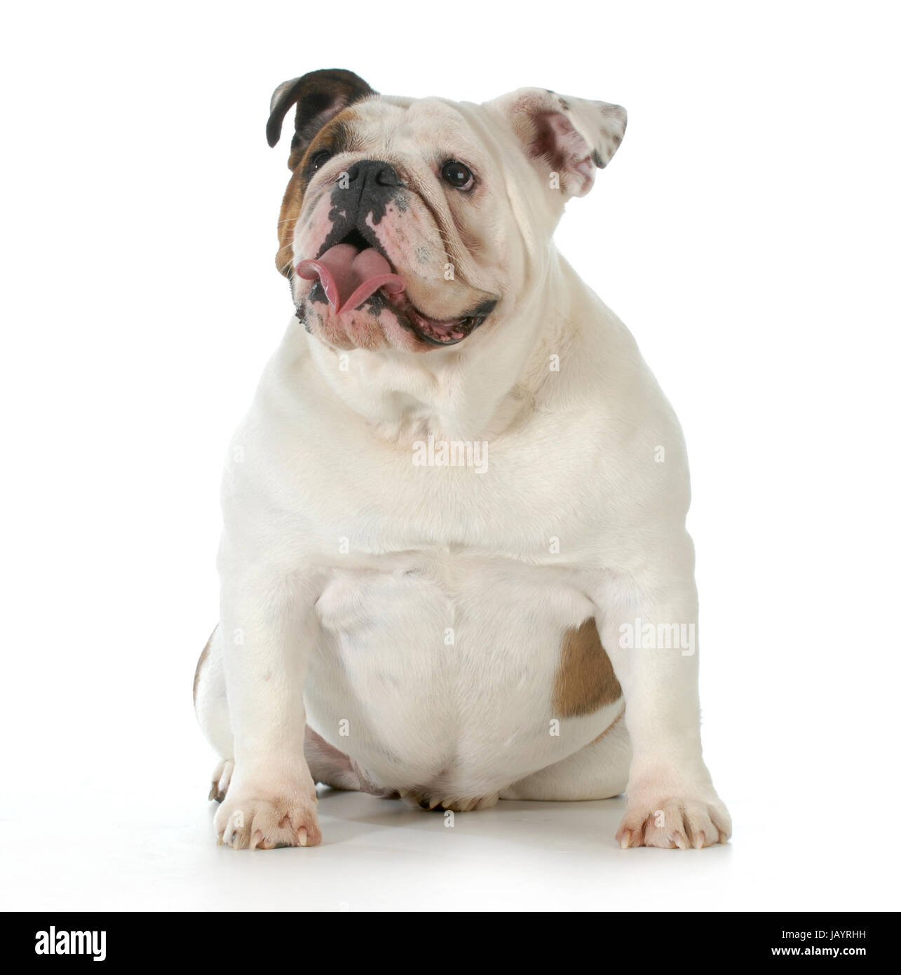 Vertical shot old english Cut Out Stock Images & Pictures - Alamy