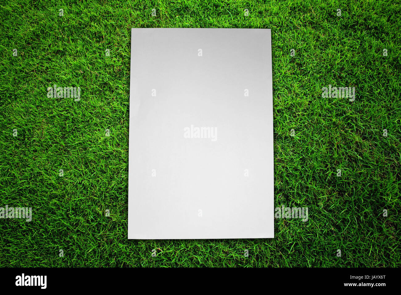 Open grassfield hi-res stock photography and images - Alamy