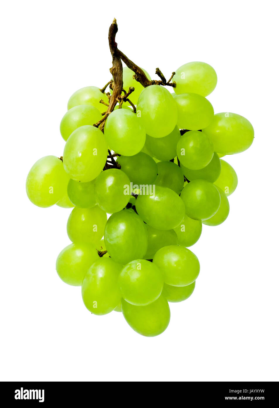Branch of grapes isolated on white background Stock Photo - Alamy