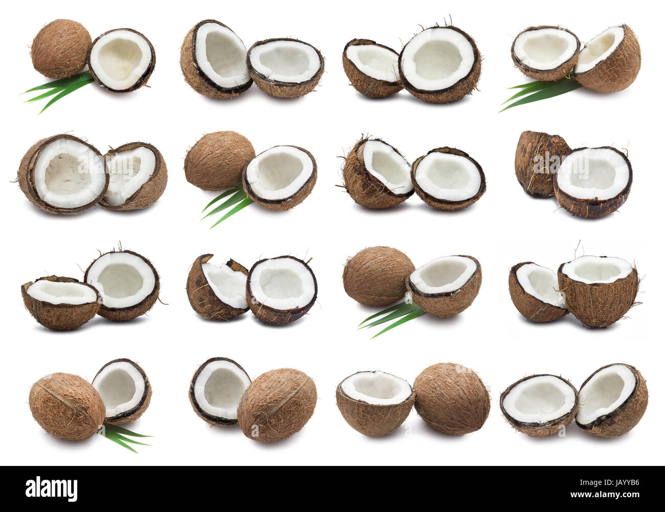 Collection of fresh coconuts isolated on white background Stock Photo ...