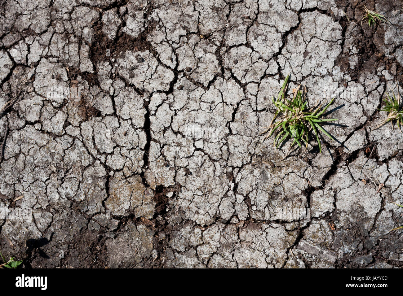 Land with dry cracked ground texture background Stock Photo - Alamy