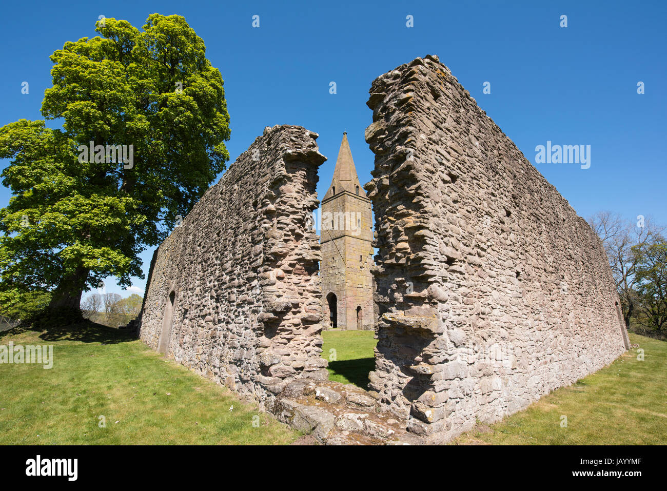 Forfar angus hi-res stock photography and images - Alamy