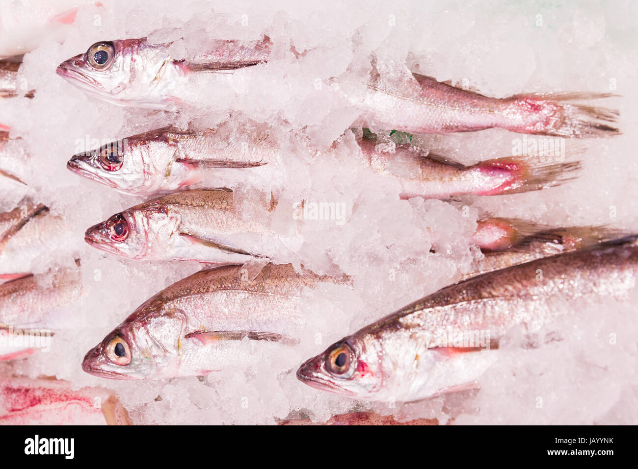 Pescadilla de rosca hi-res stock photography and images - Alamy