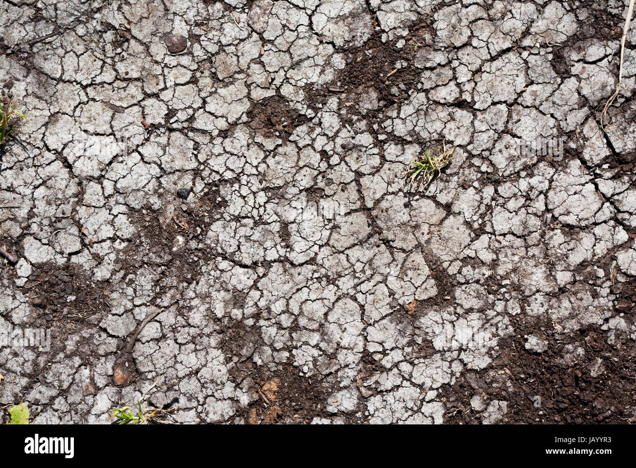 Land with dry cracked ground texture background Stock Photo - Alamy
