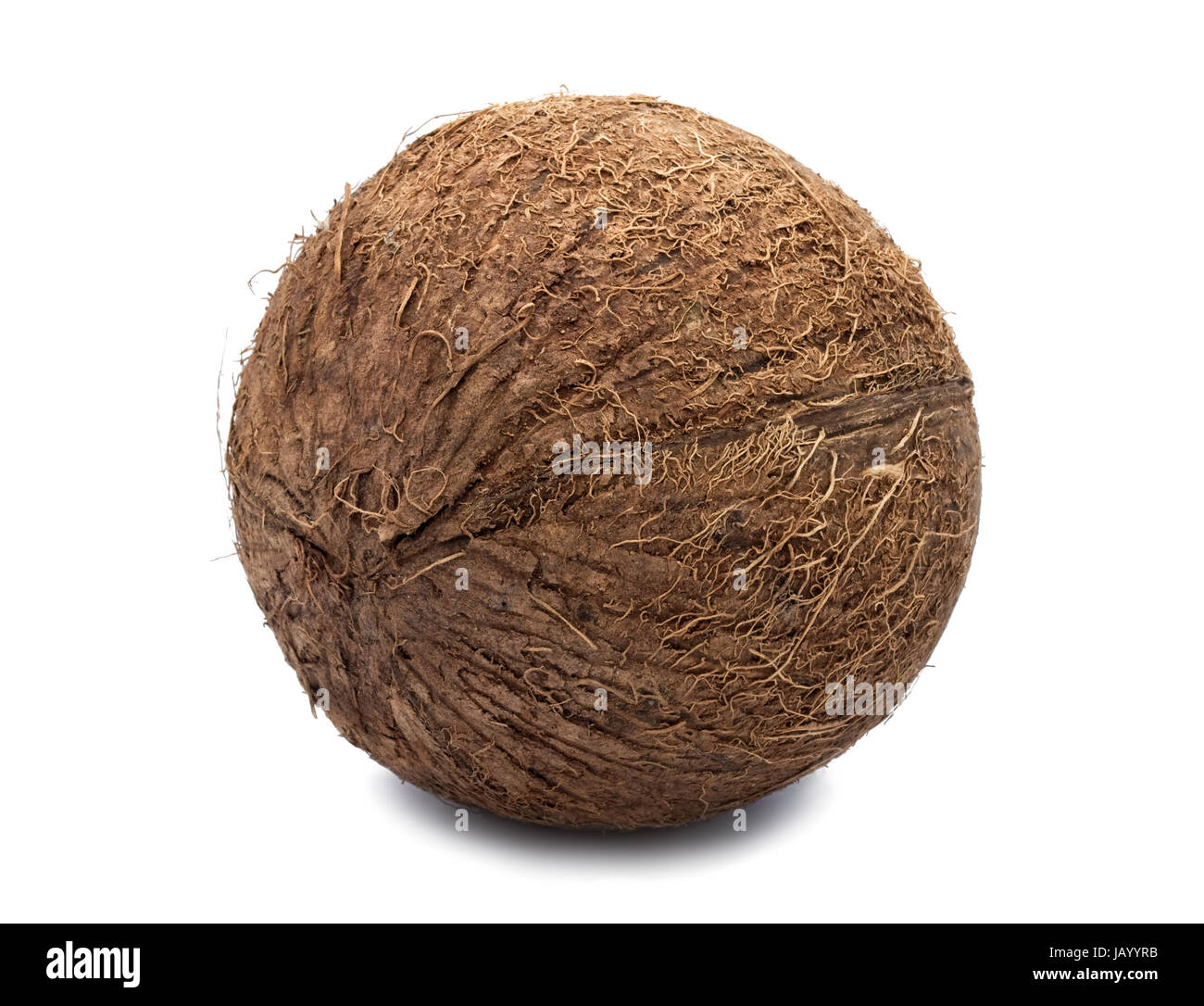 Perfect fresh coconut isolated on white background Stock Photo - Alamy