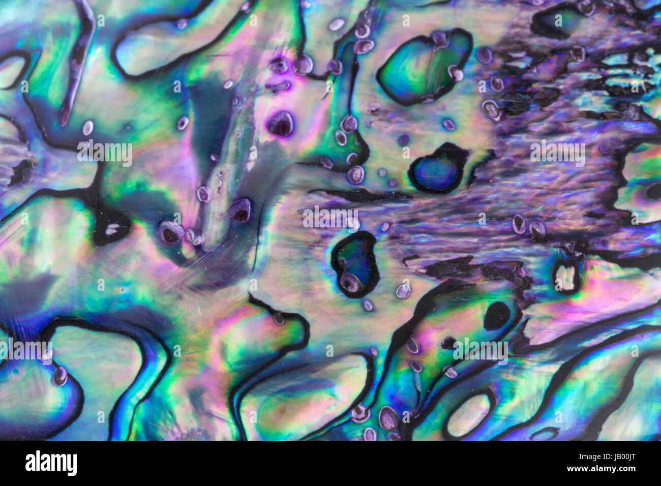 Background of blue, green and purple abalone pearl shell Stock Photo ...