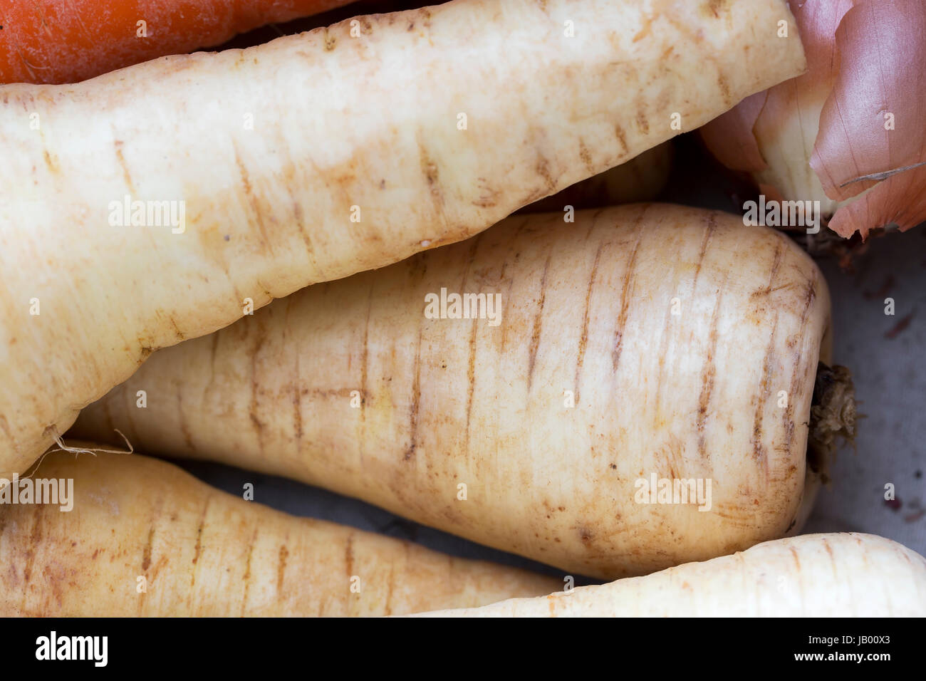 Close up of raw parsnips, with other vegetables barely visible Stock ...