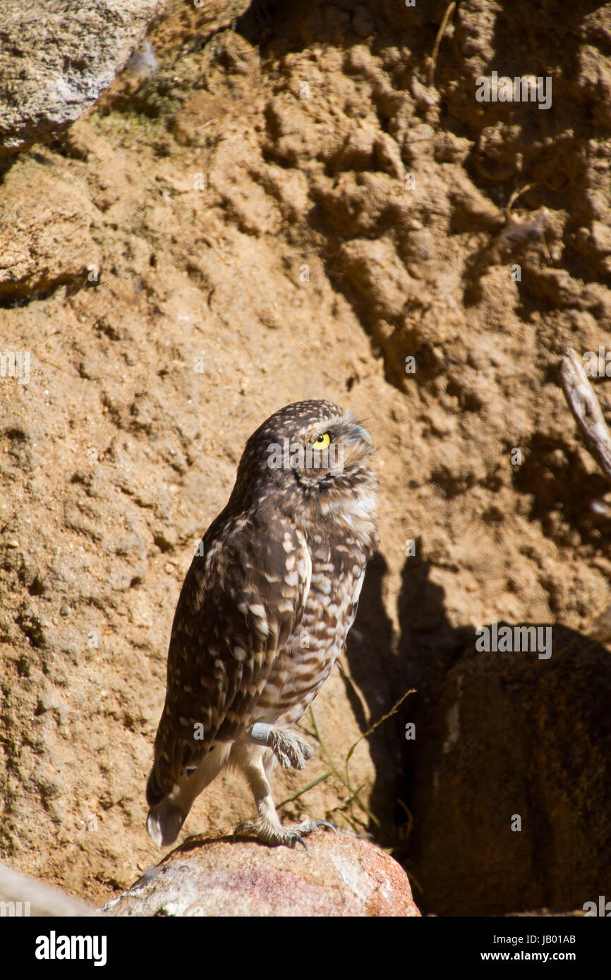 Oben steht hi-res stock photography and images - Alamy