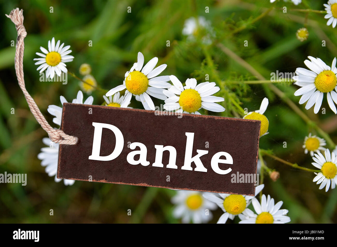 Etikett Pappe Danke Schild Stock Photo - Alamy