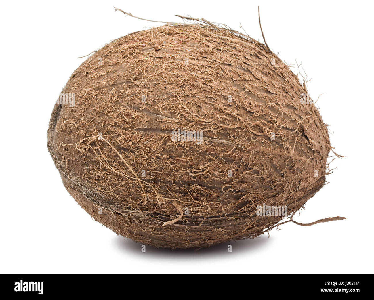 Perfect fresh coconut isolated on white background Stock Photo - Alamy