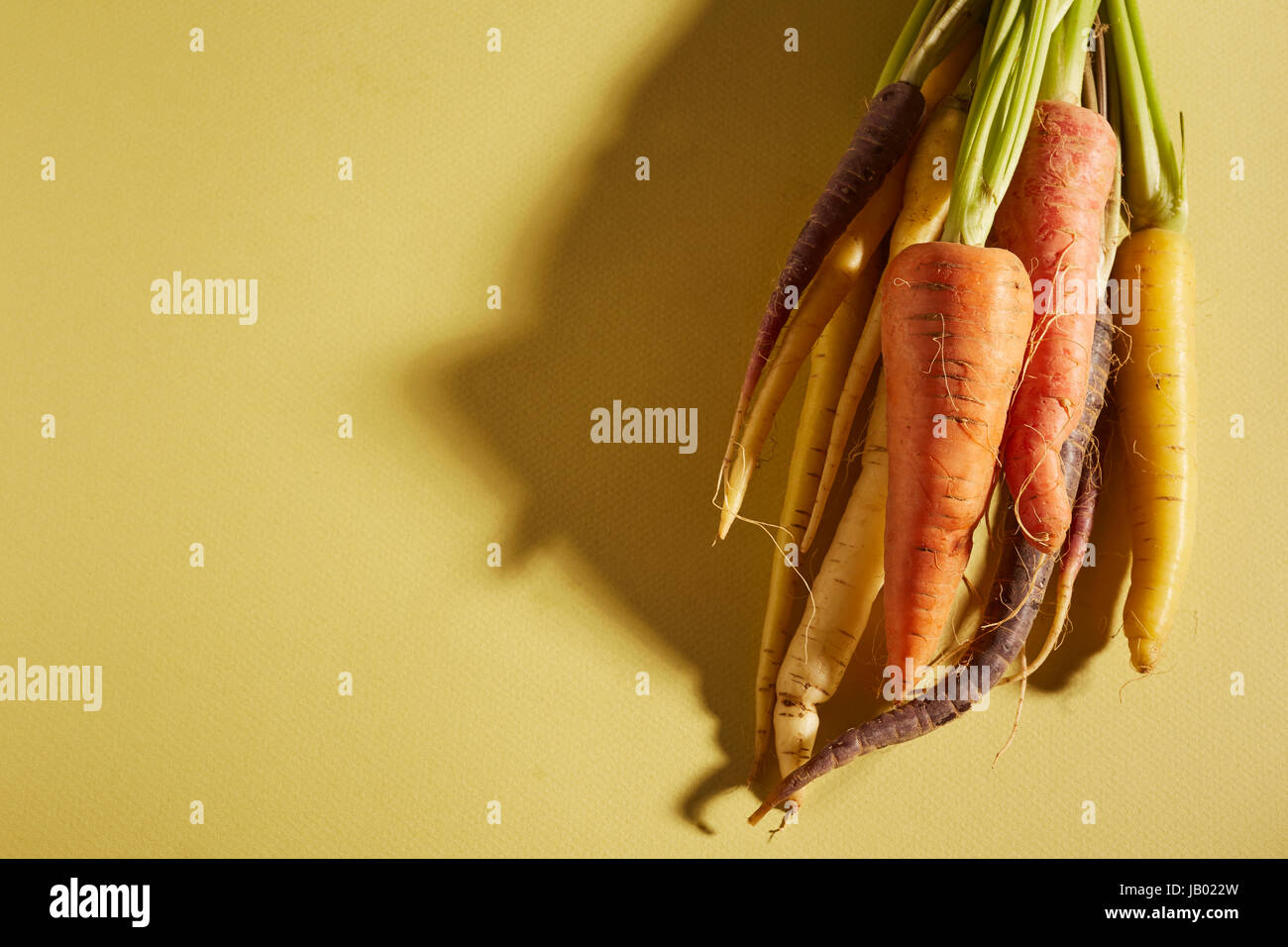 a bunch of multicolor carrots Stock Photo - Alamy